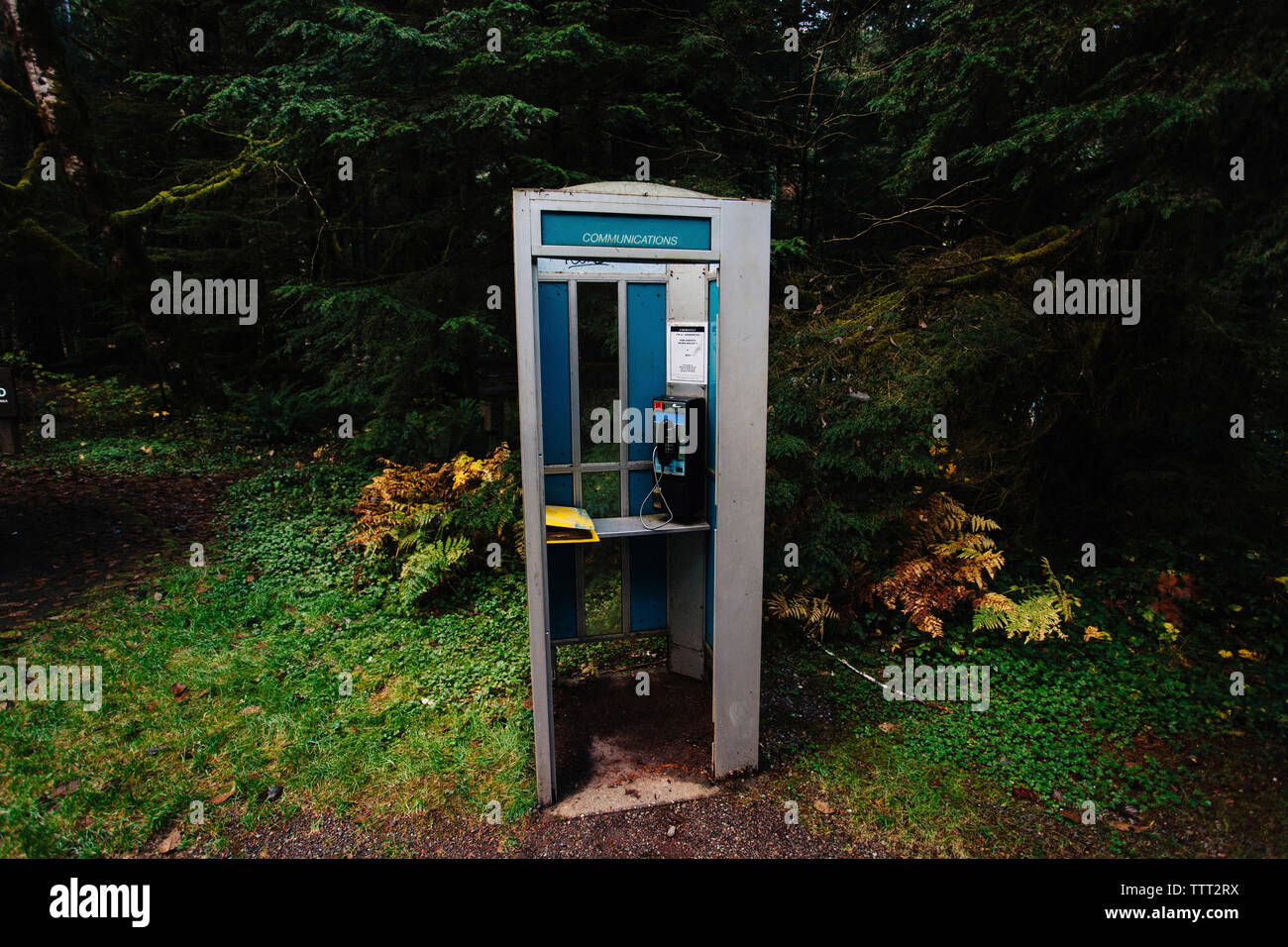 Green phone booth hi-res stock photography and images - Alamy