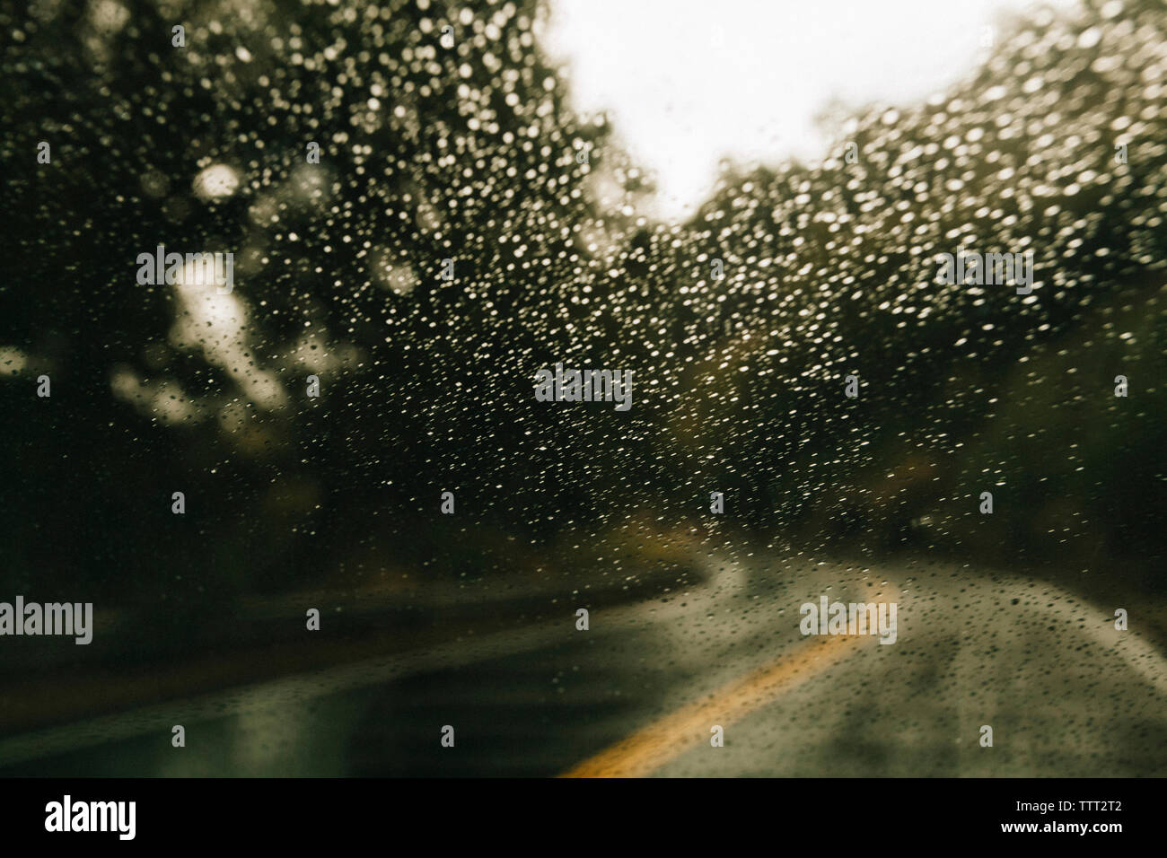 Country road during rainy season Stock Photo - Alamy