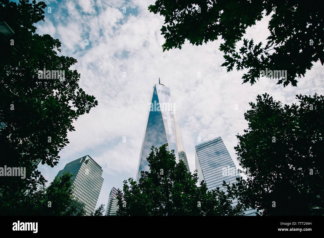 Trees for cities hi-res stock photography and images - Alamy