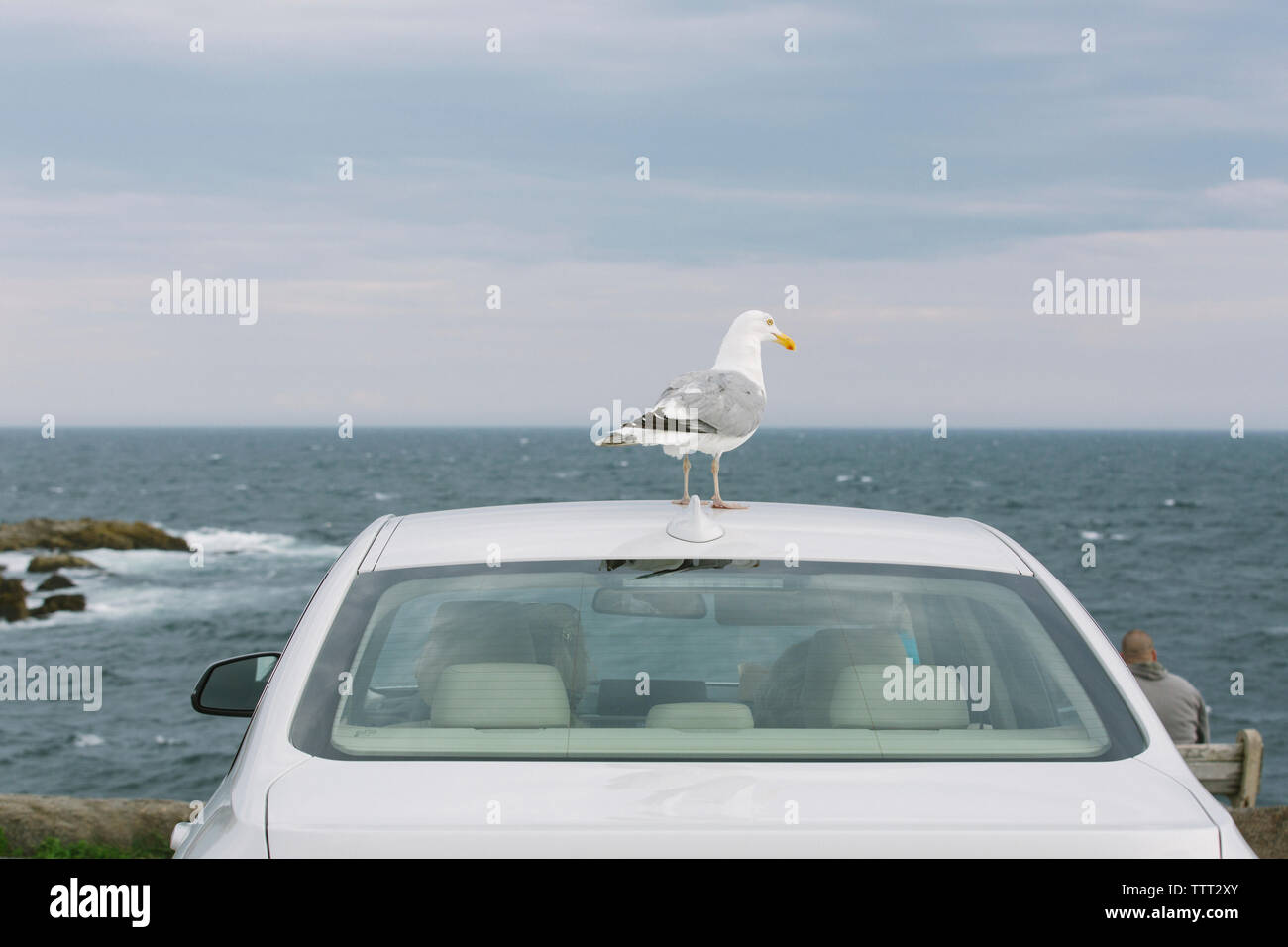 Car sky horizon hi-res stock photography and images - Alamy