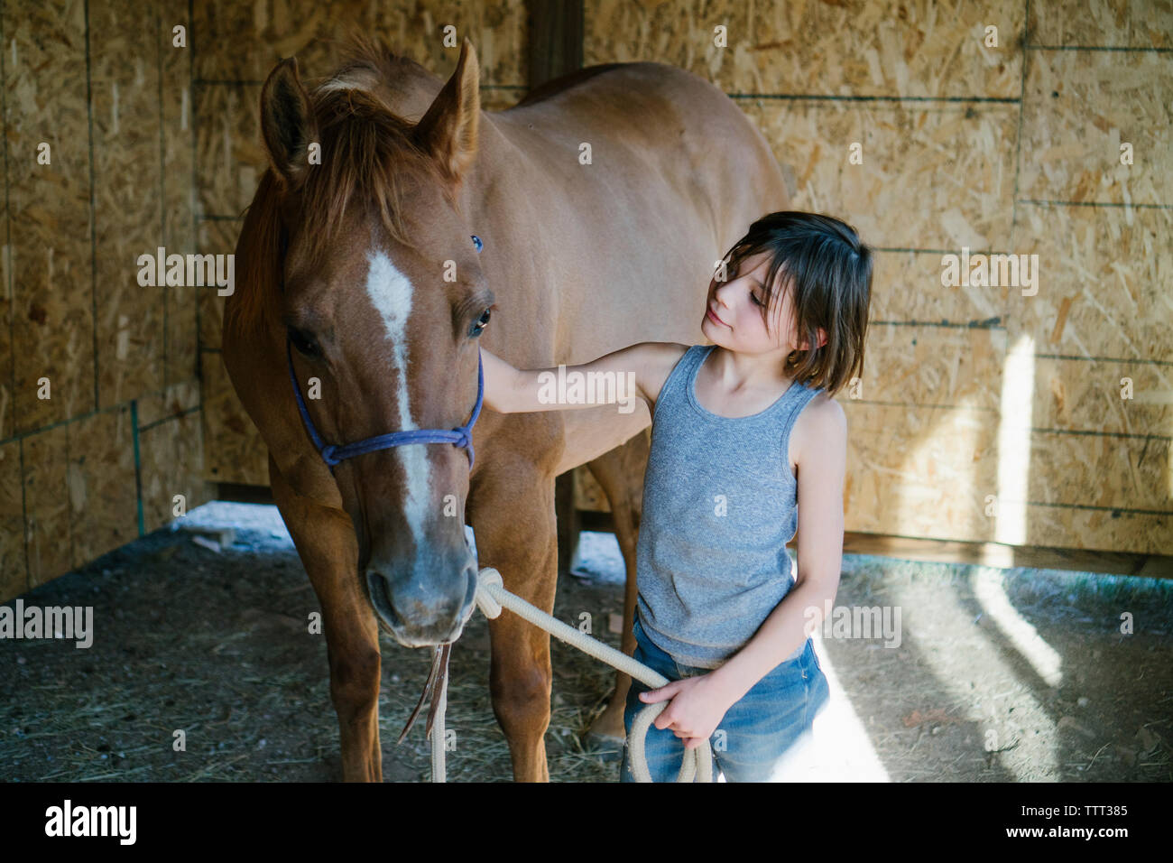 Person petting horse hi-res stock photography and images - Alamy