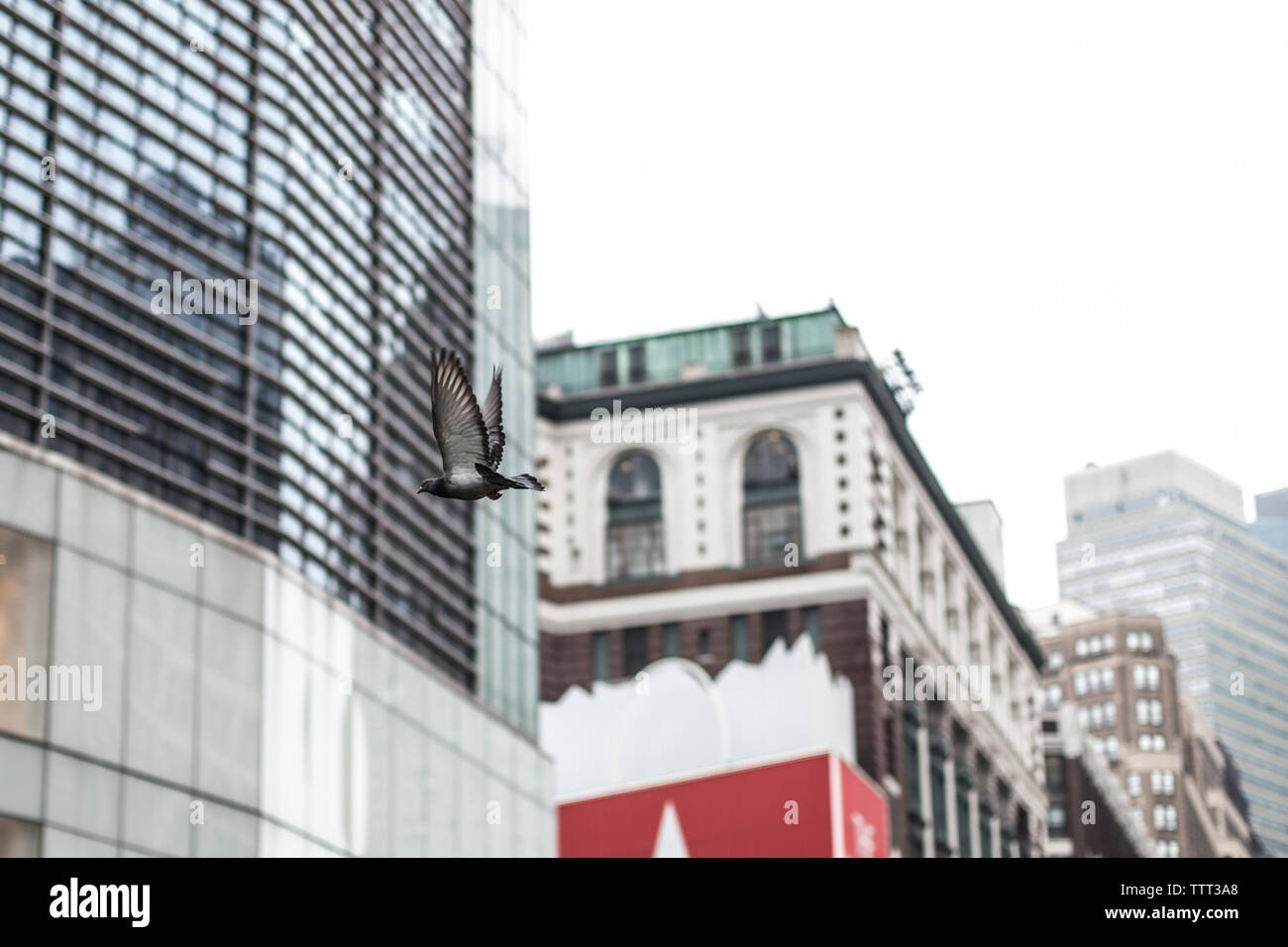 Animal buildings hi-res stock photography and images - Alamy