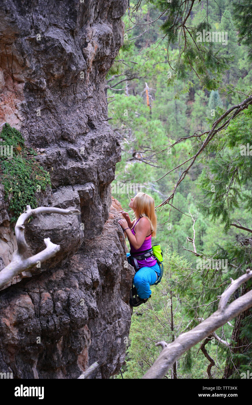 Climbing forest hi-res stock photography and images - Alamy