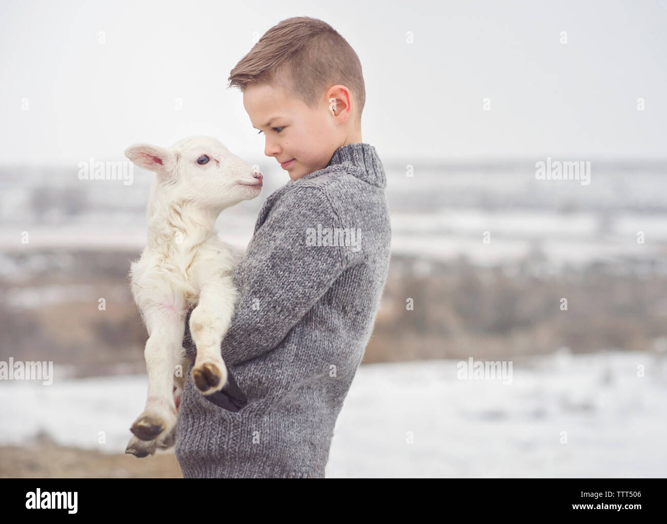 Side view of cute boy carrying lamb while standing at farm during ...