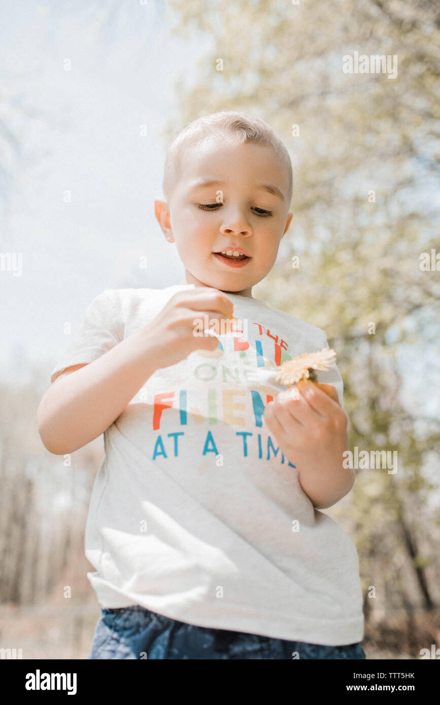 Boy with flower hi-res stock photography and images - Alamy