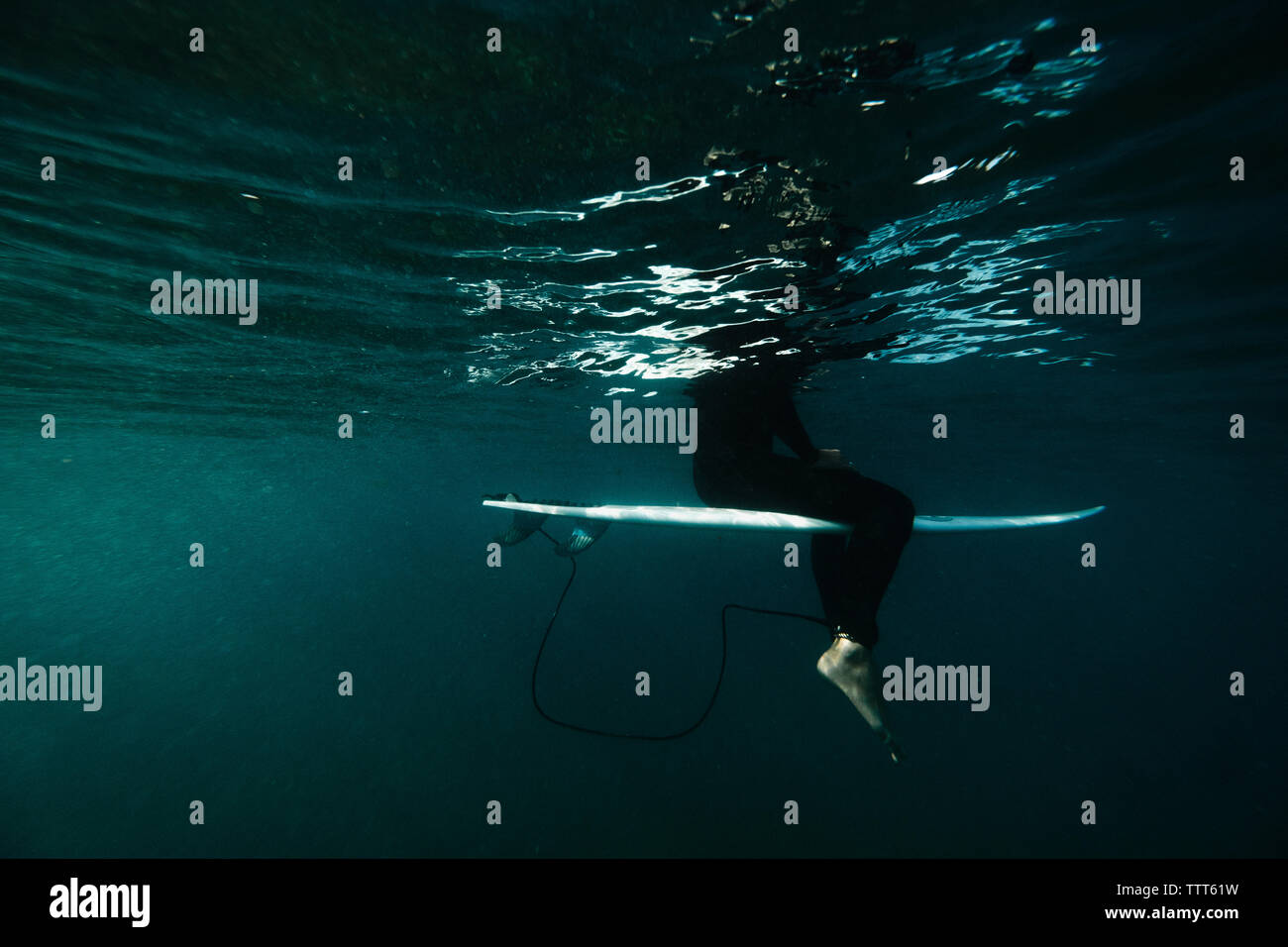 Underwater view of a surfer sitting on his board Stock Photo - Alamy