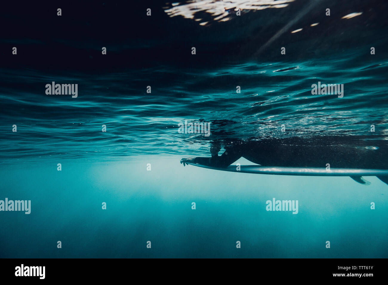 Underwater view of a surfer lying on his surfboard Stock Photo - Alamy