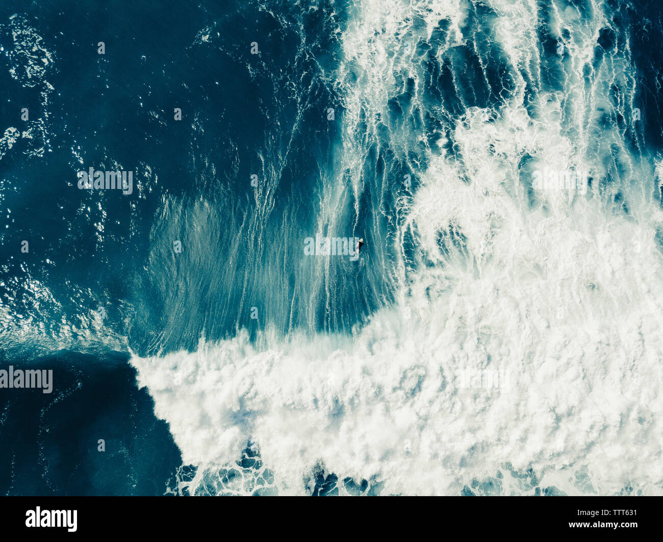 Rough sea and birds hi-res stock photography and images - Alamy