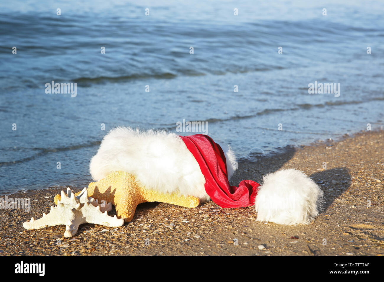 Santa hat with sea stars on beach. Christmas holiday concept Stock ...