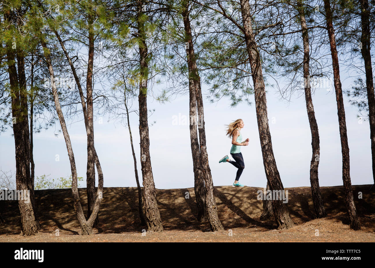Woman trees running hi-res stock photography and images - Alamy
