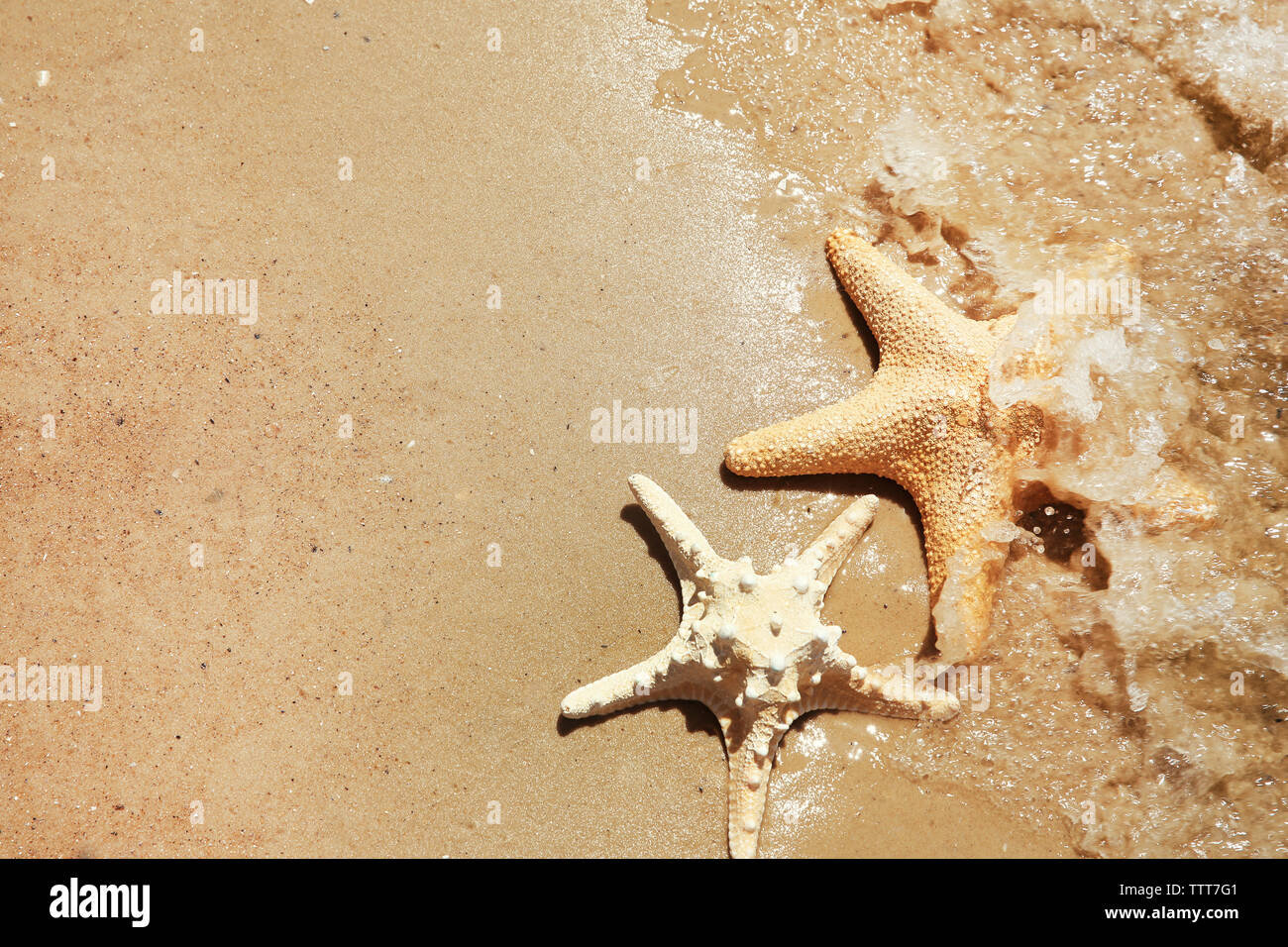 Sea stars on beach Stock Photo - Alamy