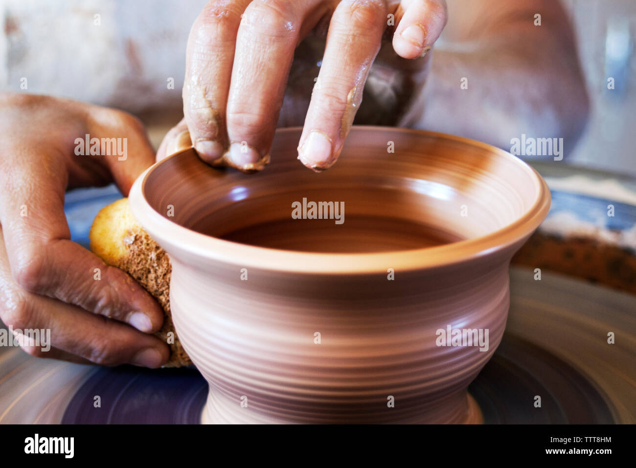 Human body parts hi-res stock photography and images - Alamy