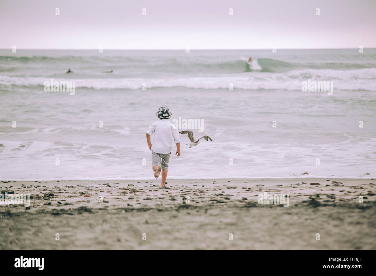 Running on sand hi-res stock photography and images - Alamy