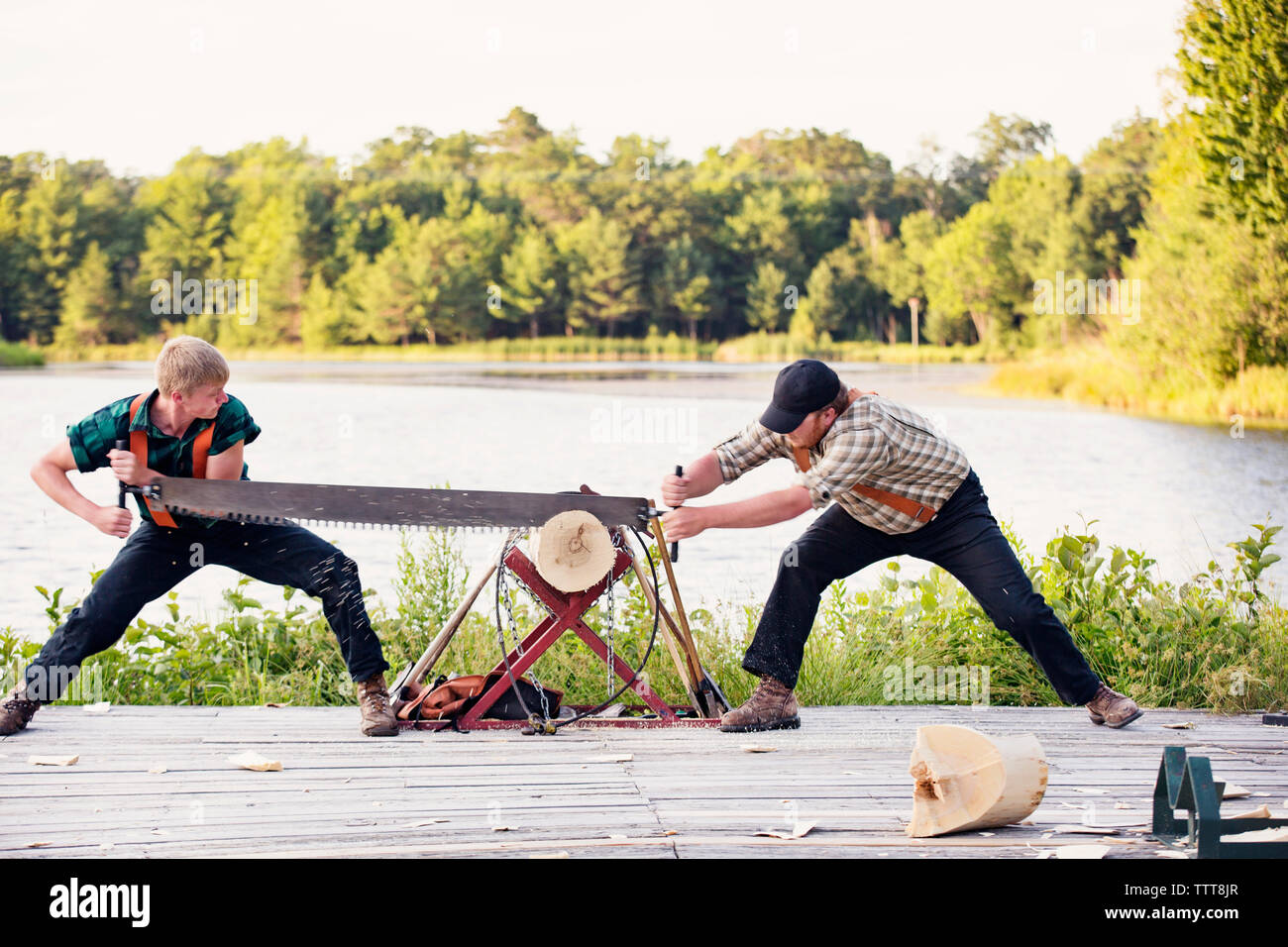 Log sawing hi-res stock photography and images - Alamy