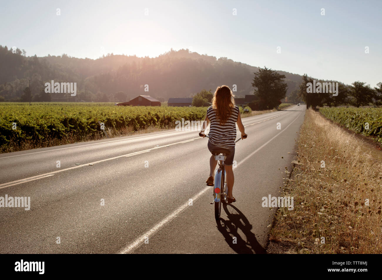 Woman cycling field rear view hi-res stock photography and images - Alamy
