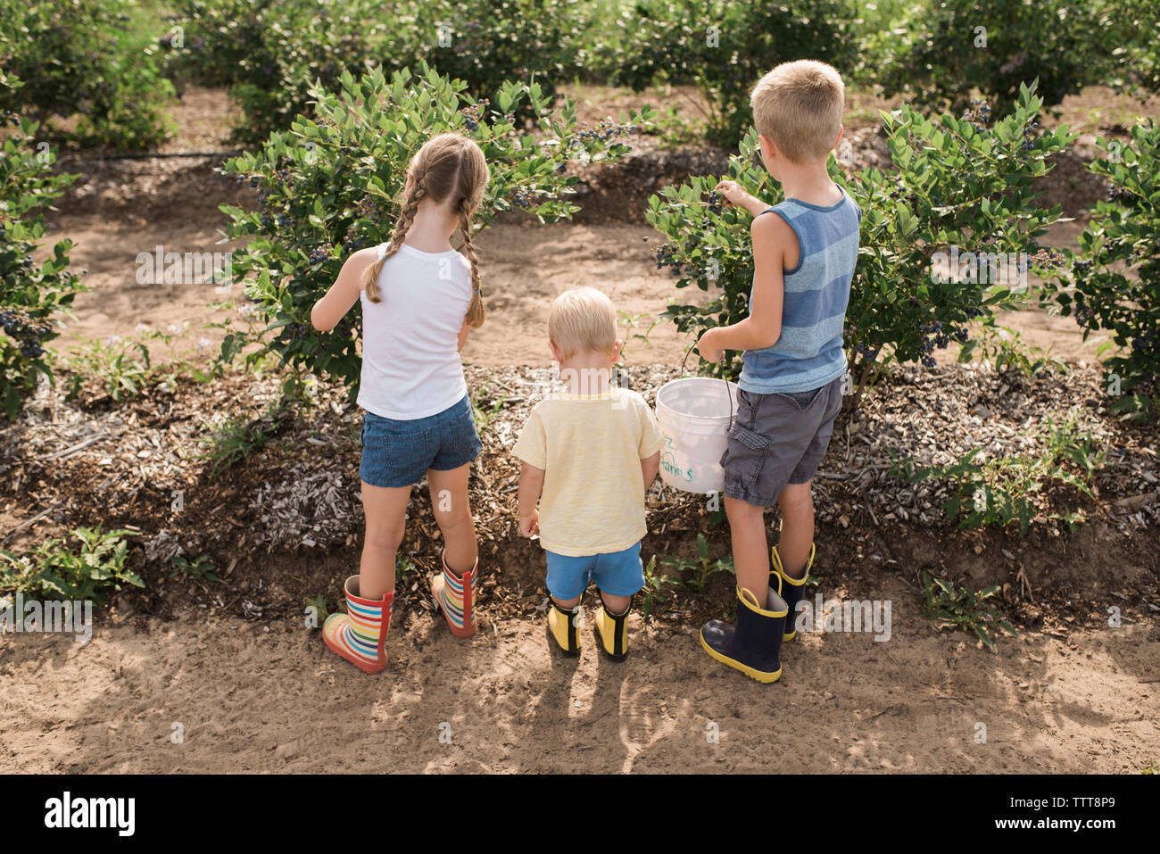 Hospital brothers hi-res stock photography and images - Alamy