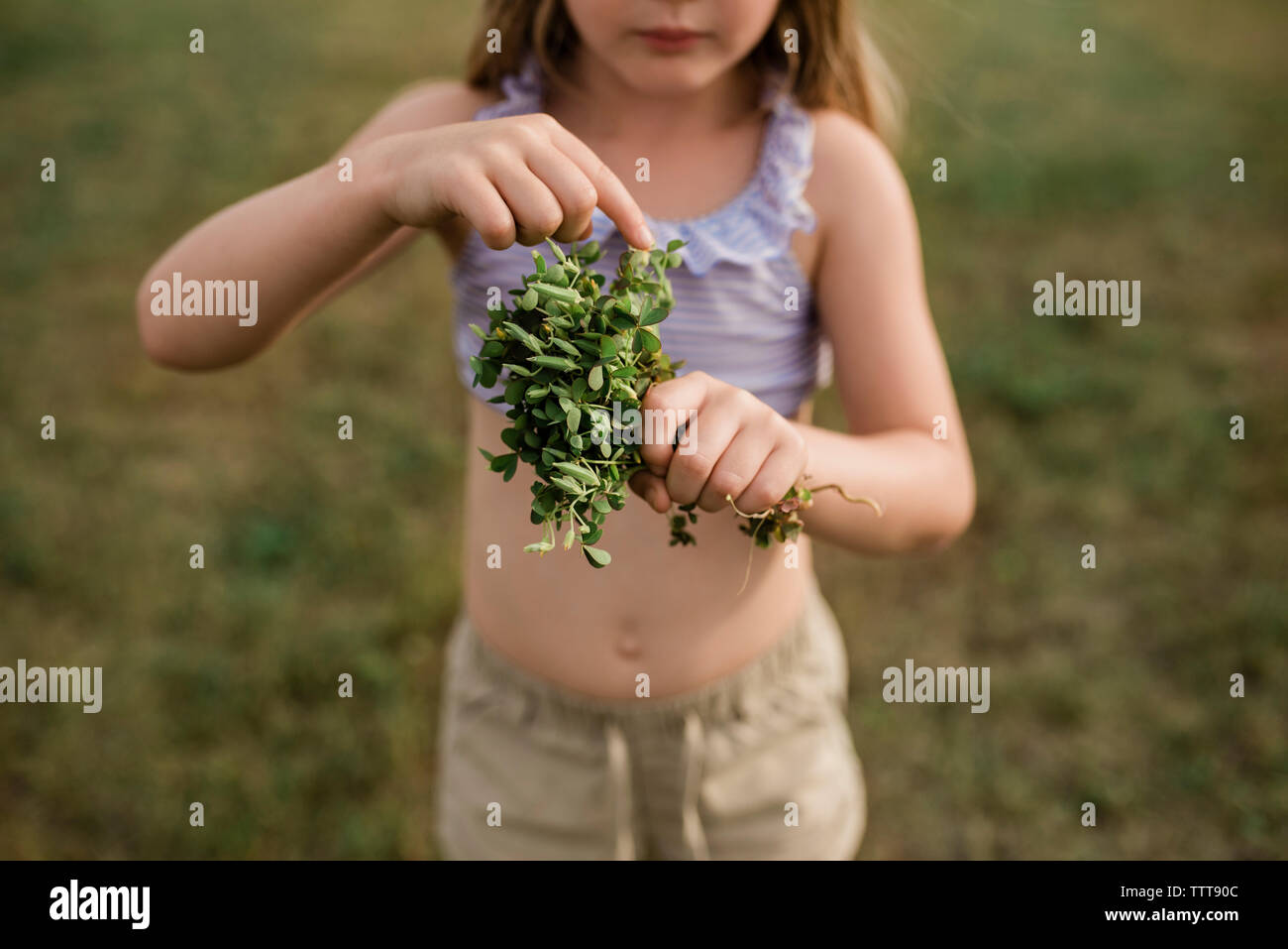 Person outdoors plants touching hi-res stock photography and images - Alamy