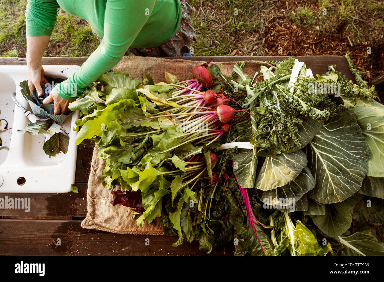 Sorting vegetables hi-res stock photography and images - Alamy