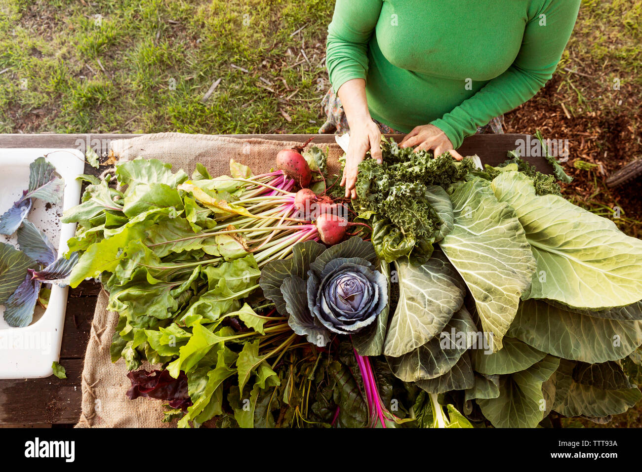 Sorting vegetables hi-res stock photography and images - Alamy