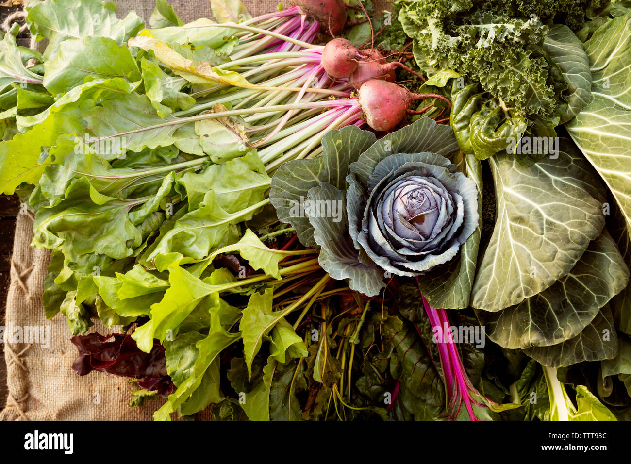 Fresh Vegetables on farm Stock Photo - Alamy
