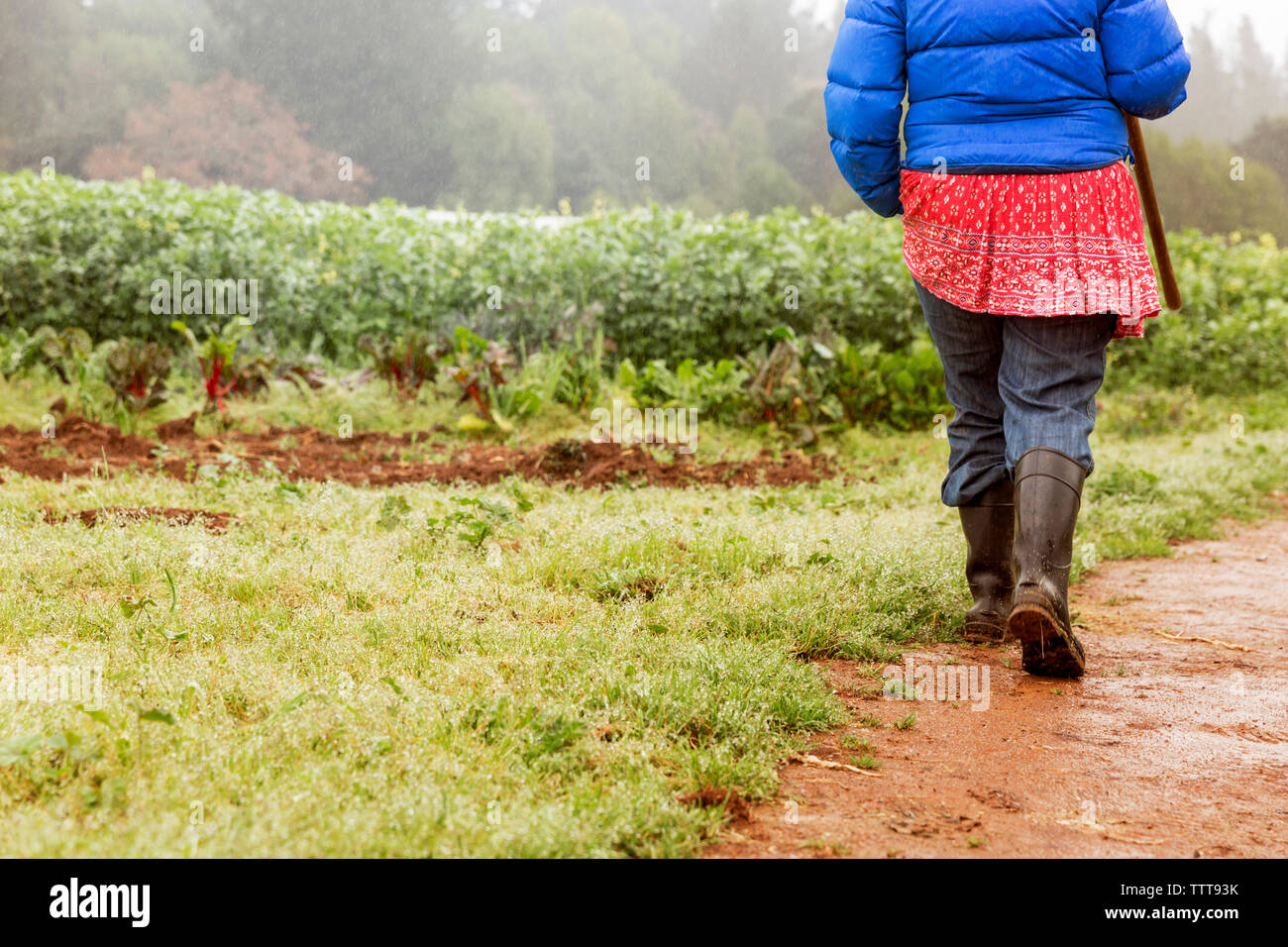 Farmer walking away hi-res stock photography and images - Alamy