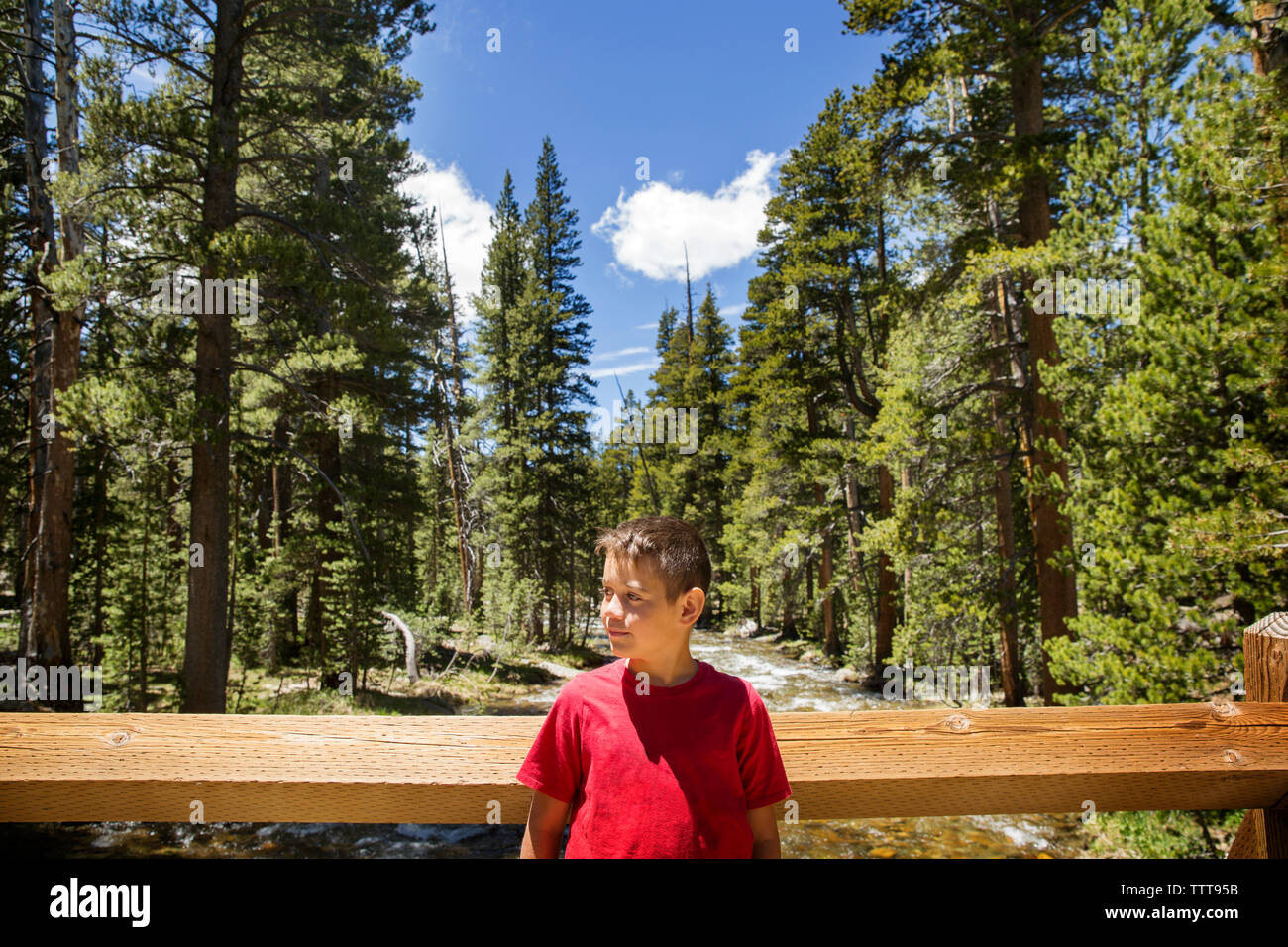 Tall boy 10 years hi-res stock photography and images - Alamy