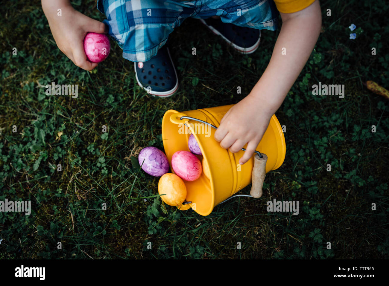 Finding egg hi-res stock photography and images - Alamy