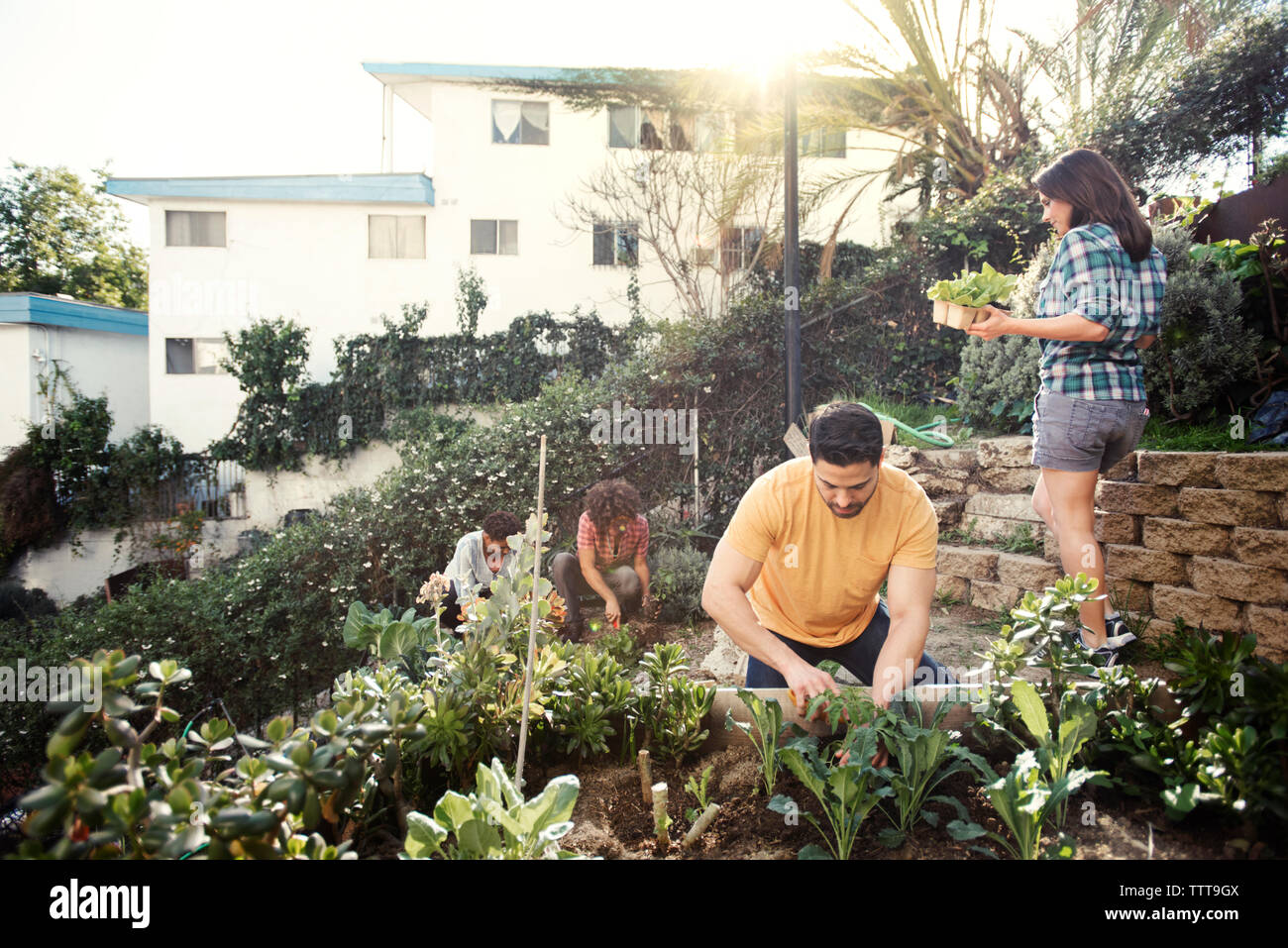 Group working in gardening hi-res stock photography and images - Alamy
