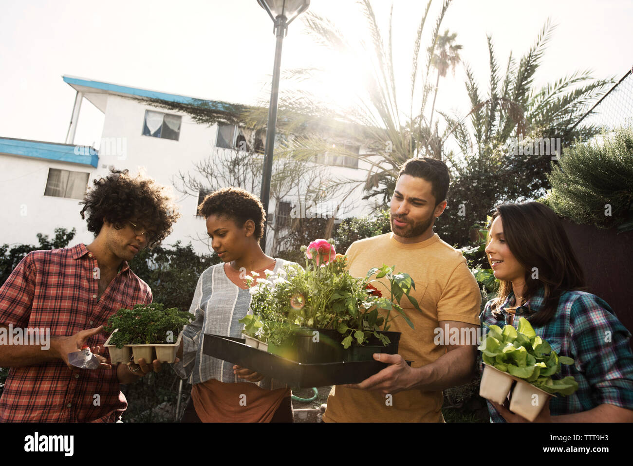 Group discussion adults hi-res stock photography and images - Alamy