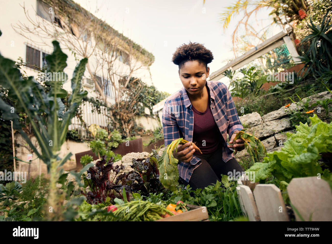 Recreational farm hi-res stock photography and images - Alamy