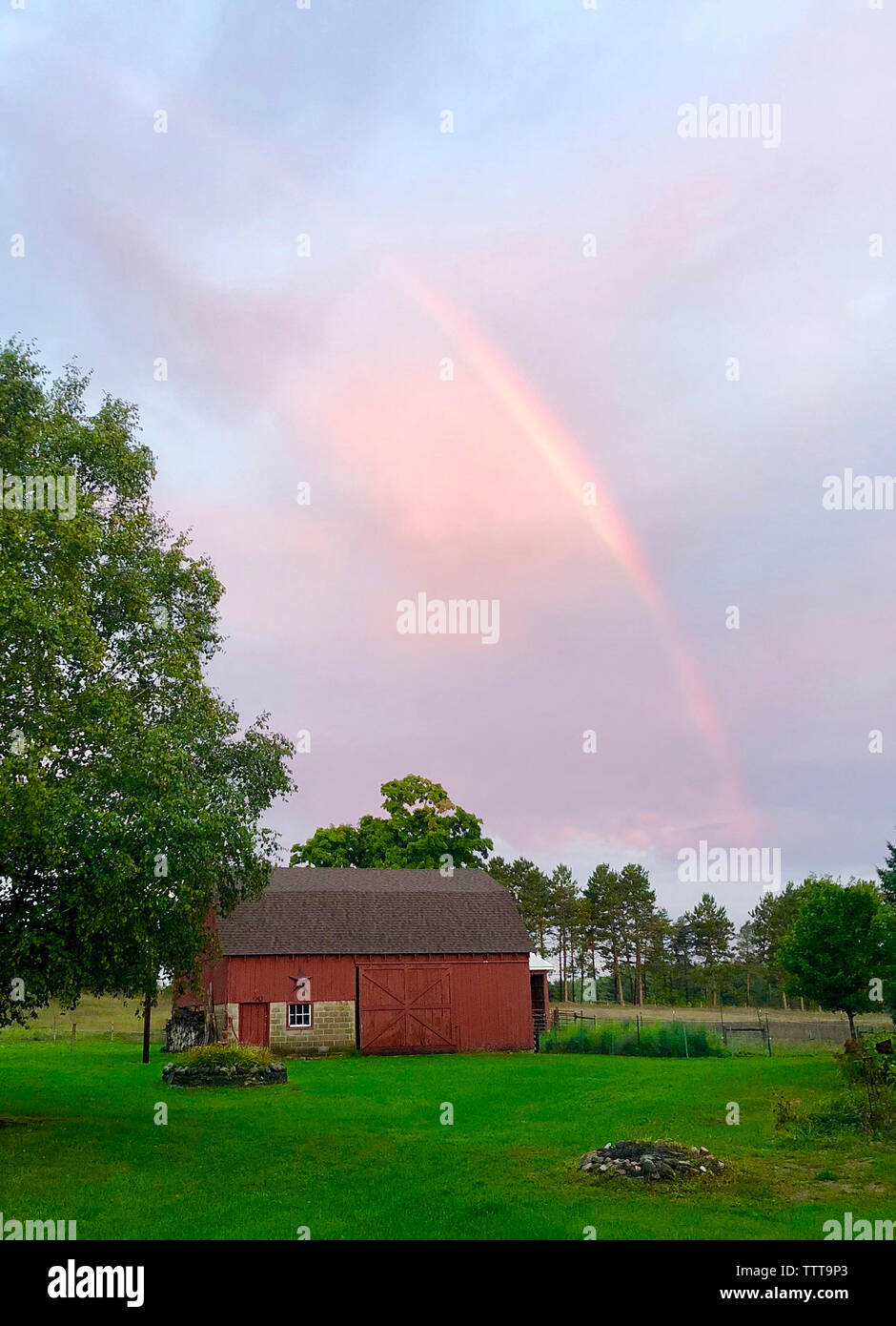 Rainbow plants hi-res stock photography and images - Alamy