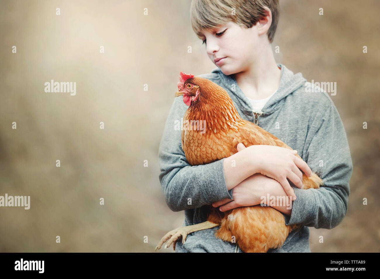 Person holding chicken hi-res stock photography and images - Alamy