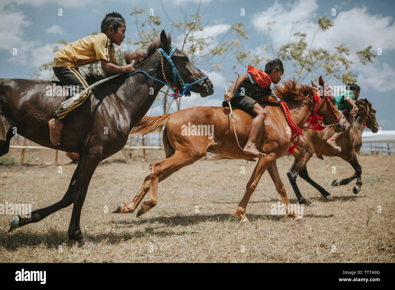Side view horse racing hi-res stock photography and images - Alamy