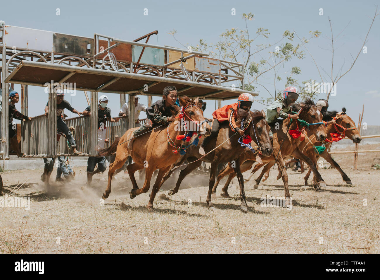 Jockeys riding racehorses during horse racing Stock Photo - Alamy