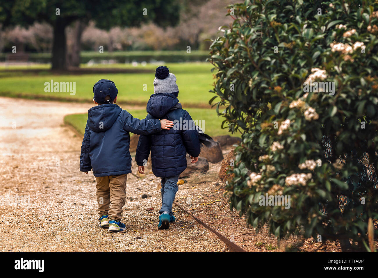 Brothers walking together hi-res stock photography and images - Alamy