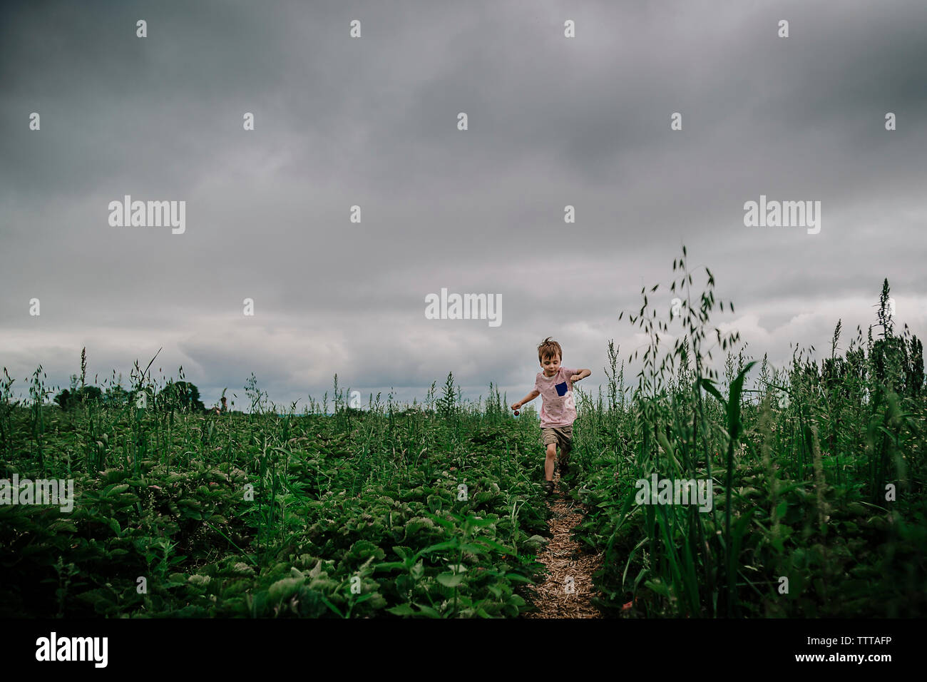Running on farm hi-res stock photography and images - Alamy