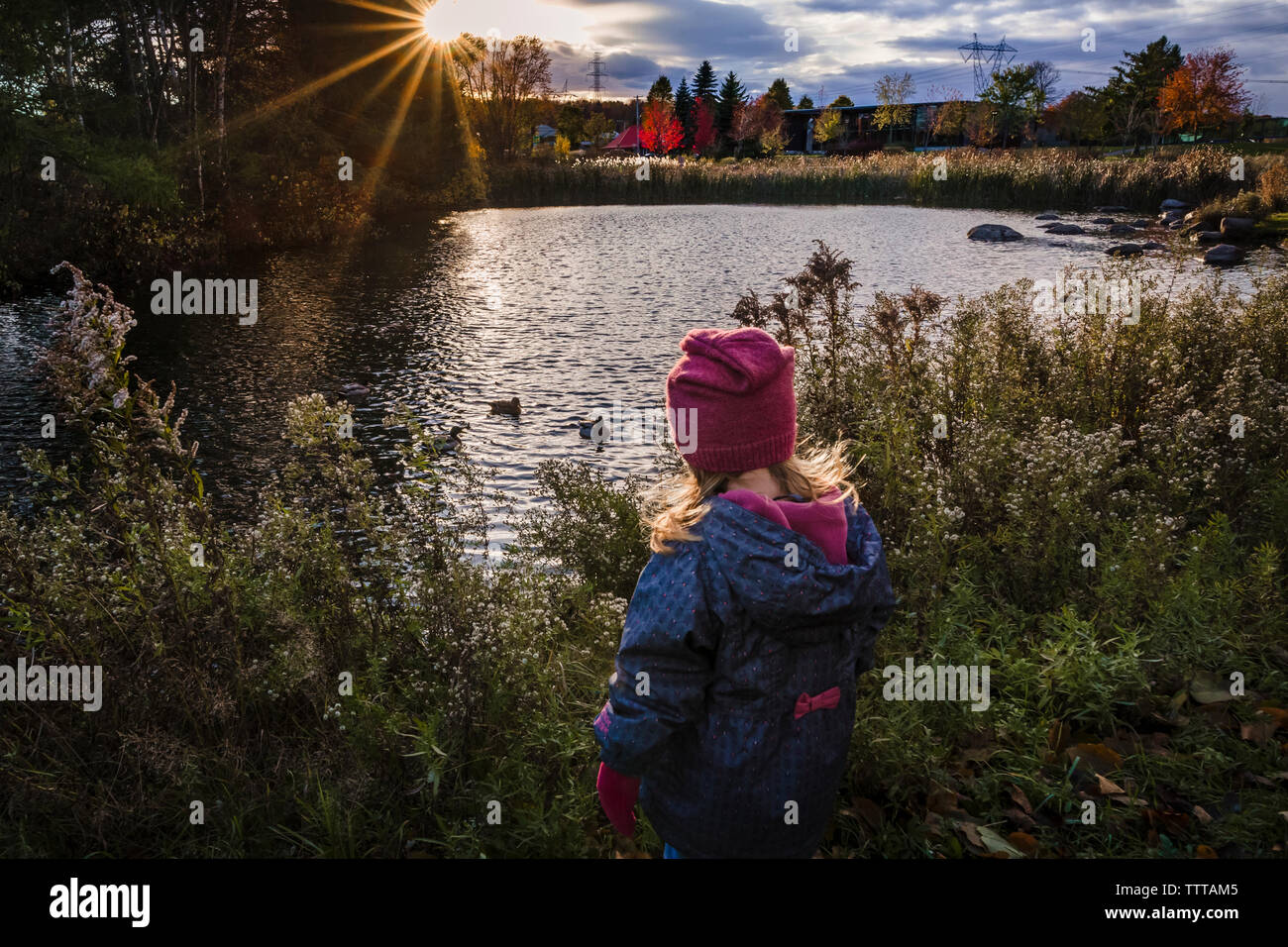 Girl watching sunset hi-res stock photography and images - Alamy