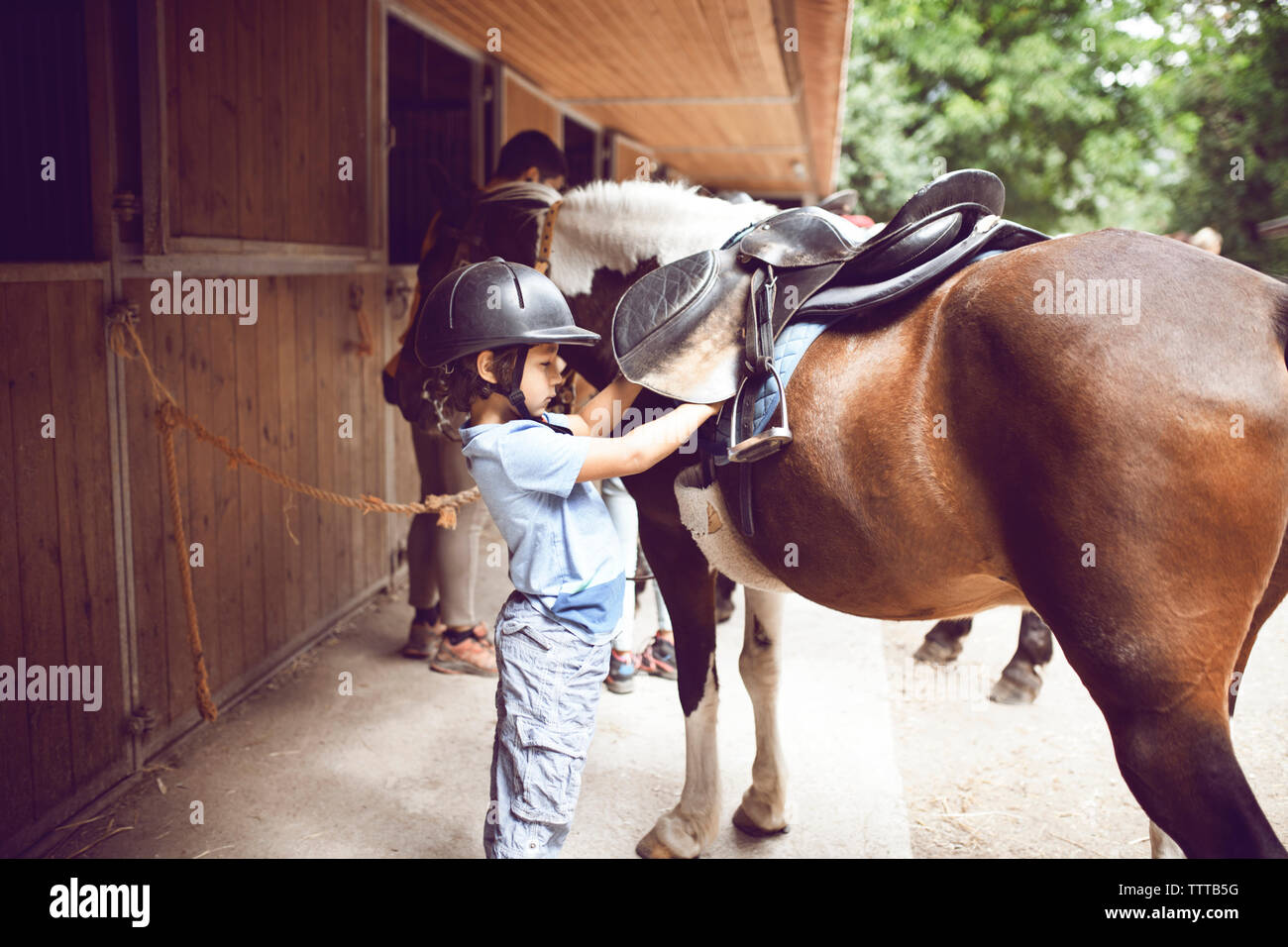 Horse Stable Boy High Resolution Stock Photography and Images - Alamy