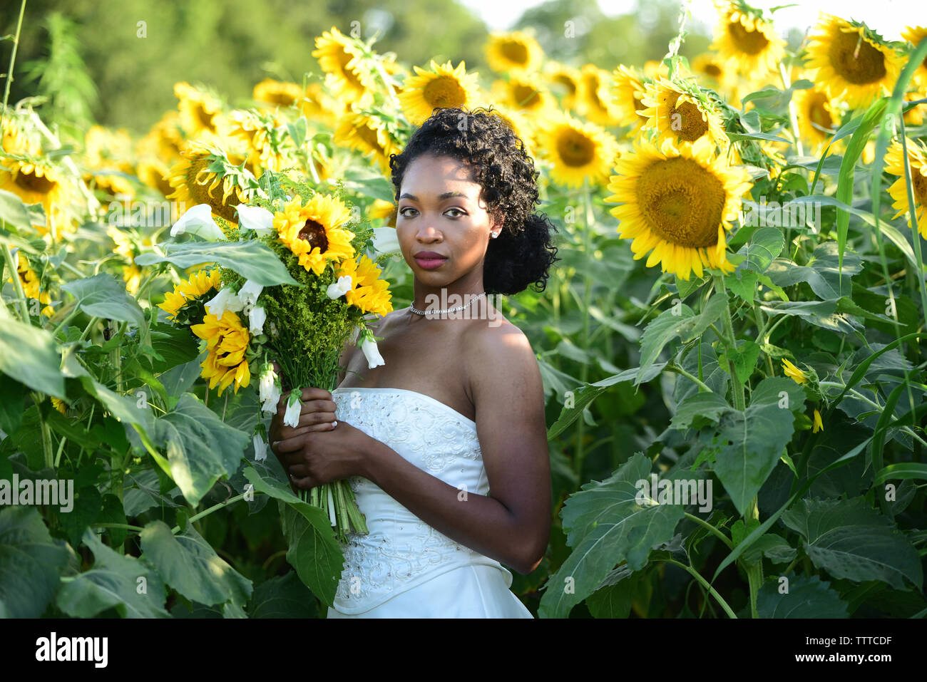 African american wedding portrait hi-res stock photography and images ...