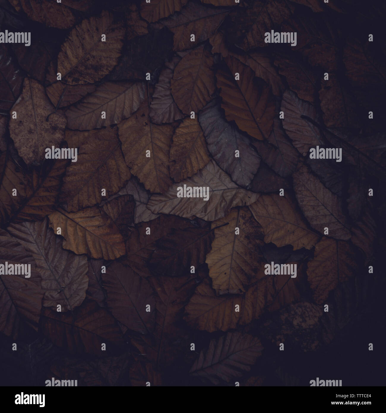 Objects overhead hi-res stock photography and images - Alamy