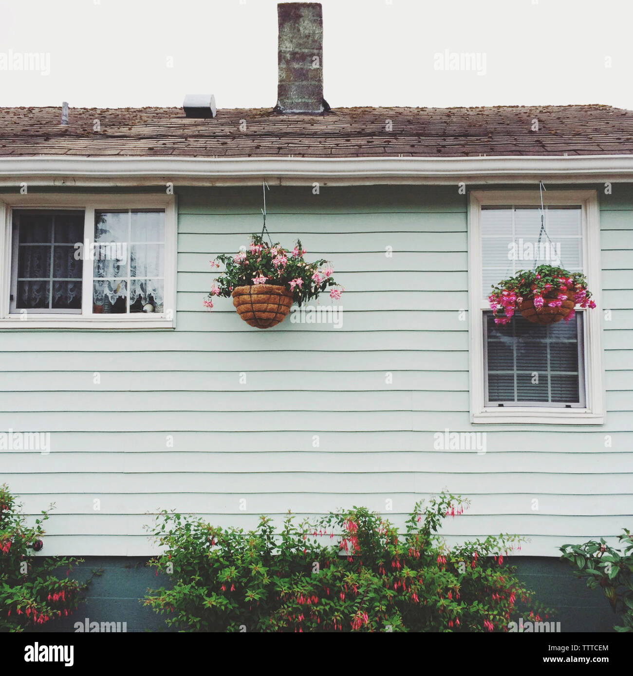 Blooming house hi-res stock photography and images - Alamy