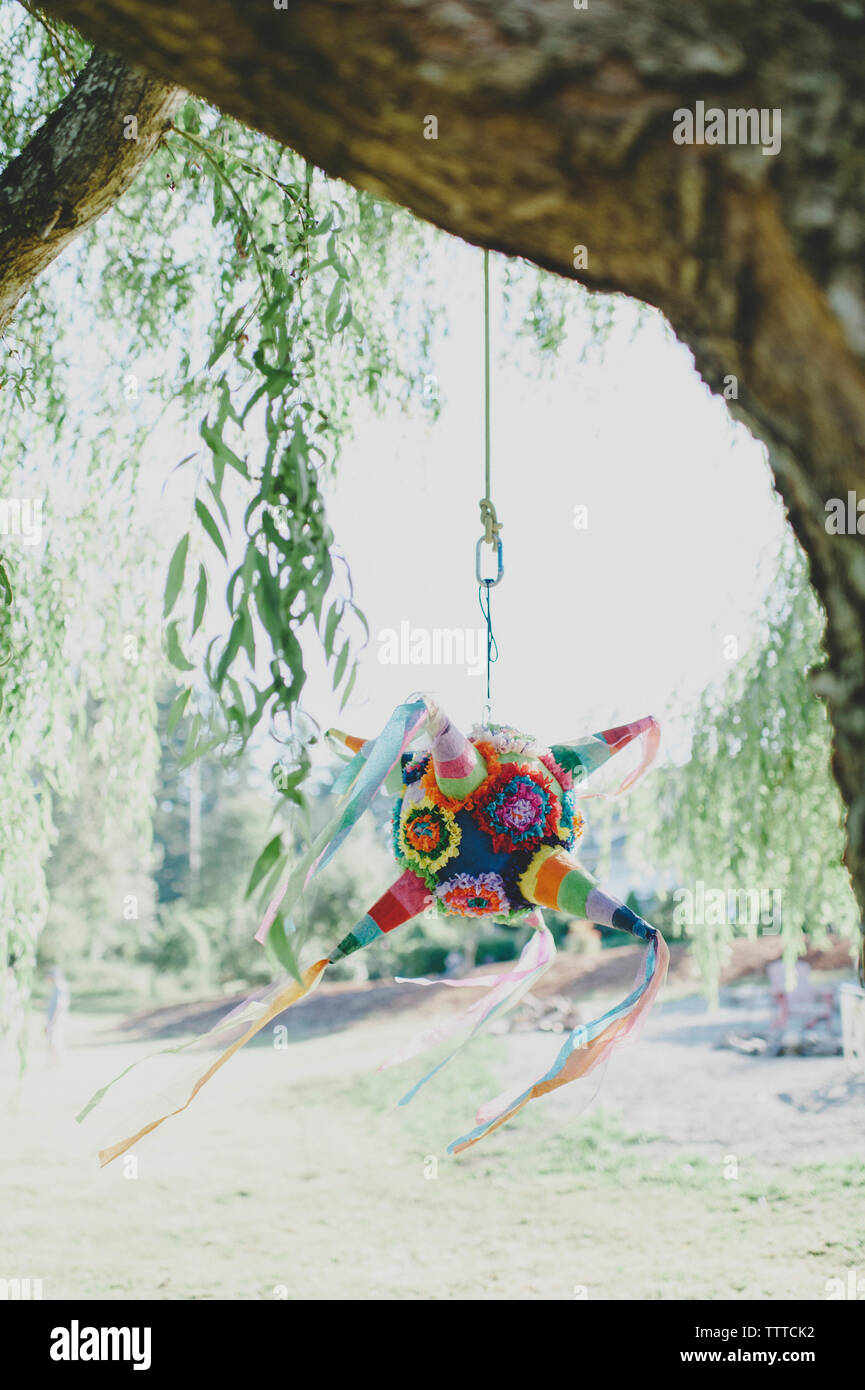 Art hanging from tree hi-res stock photography and images - Alamy