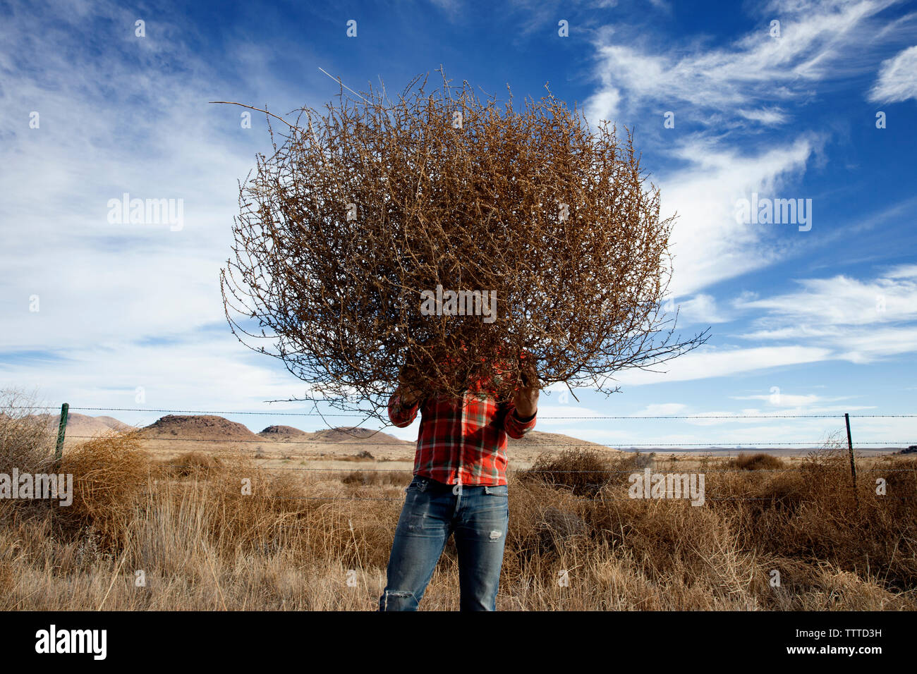 Tumbleweed High Resolution Stock Photography and Images - Alamy