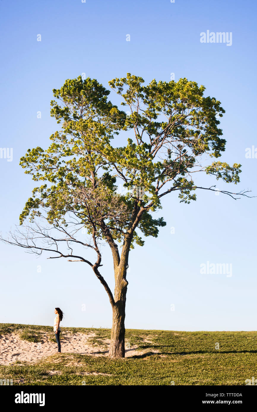 Woman standing at tree hi-res stock photography and images - Alamy