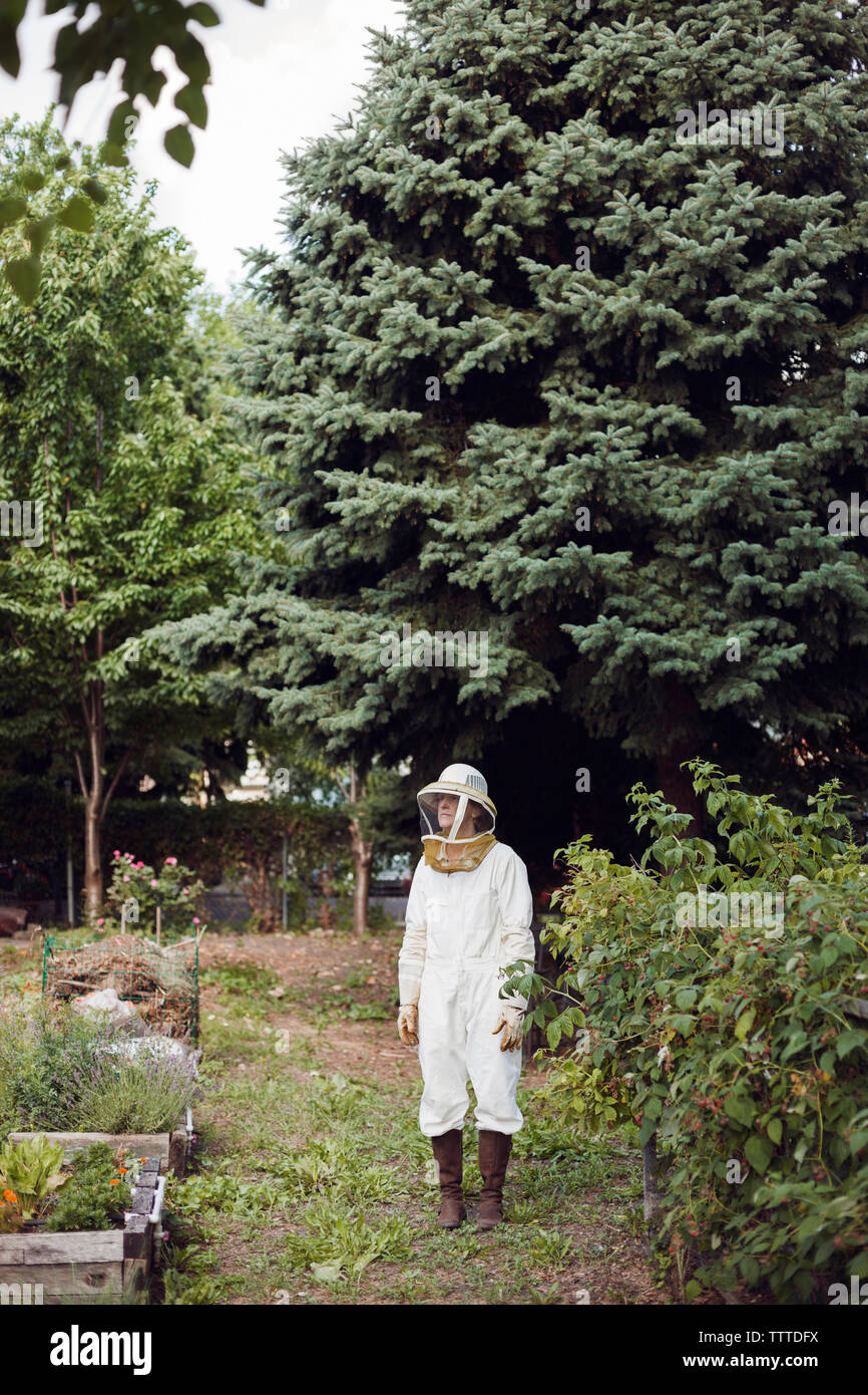 Beekeeper protection suit hi-res stock photography and images - Alamy