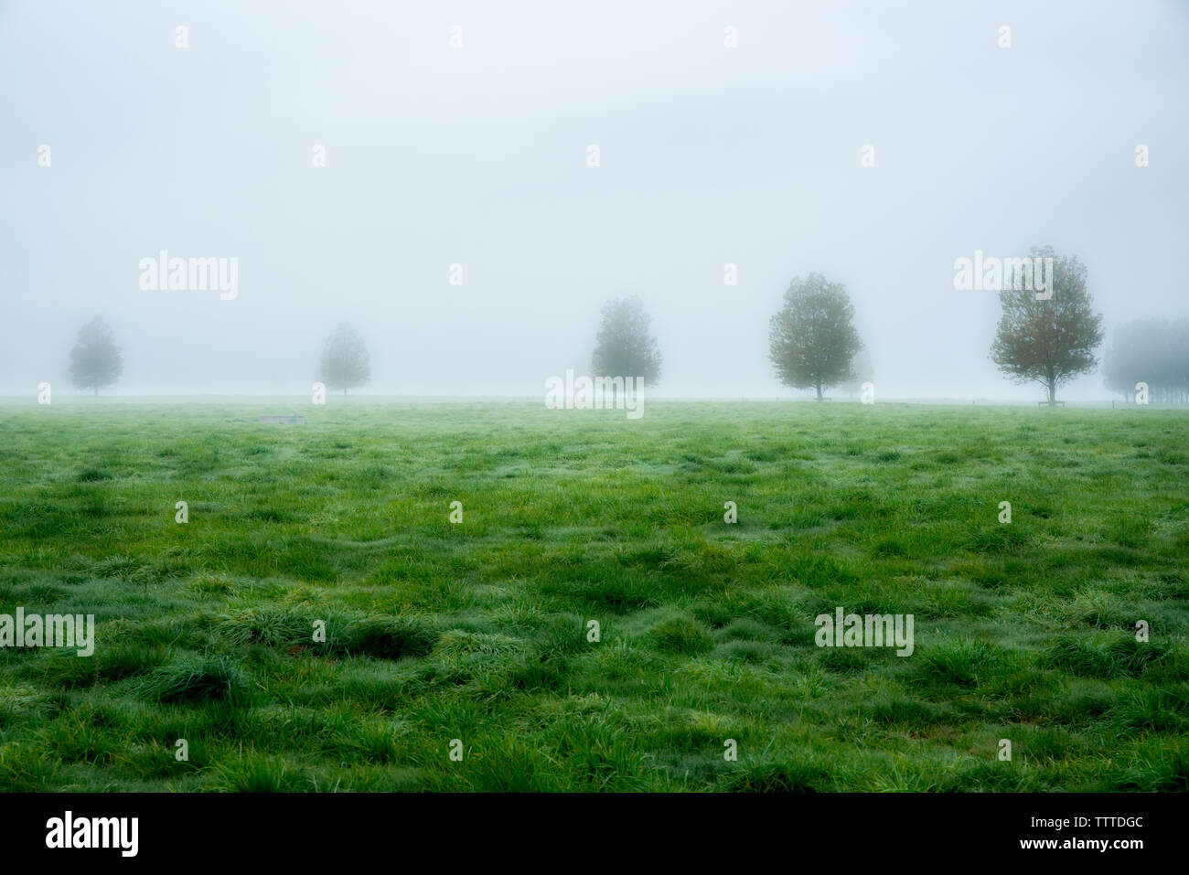 Pea soup fog hi-res stock photography and images - Alamy