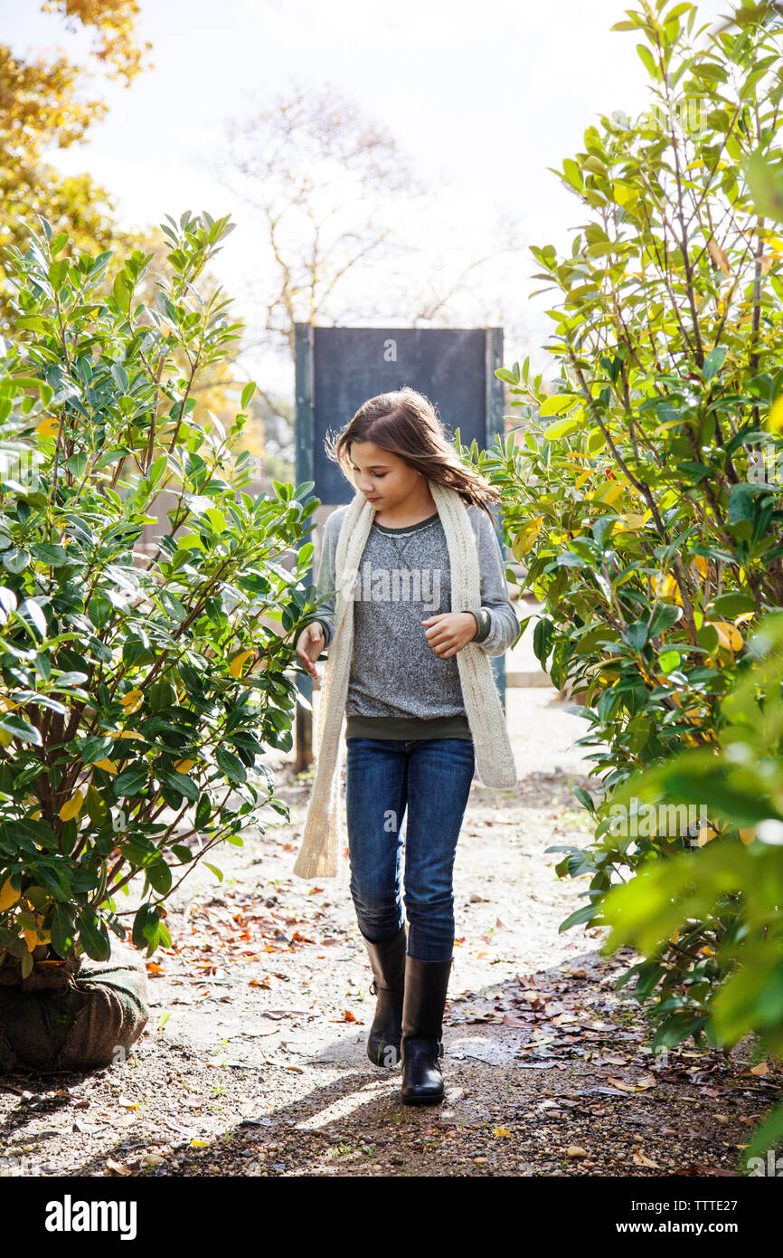 Walking in plants hi-res stock photography and images - Alamy