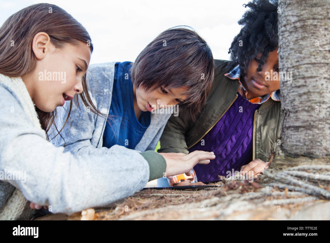 Students field trip nature hi-res stock photography and images - Alamy