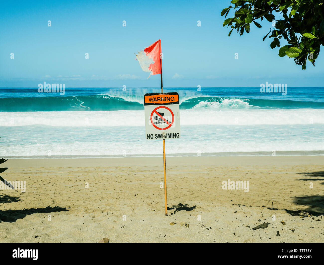 No swimming sign with flag at beach Stock Photo - Alamy