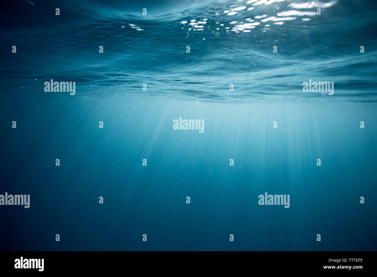 Water underwater light rays hi-res stock photography and images - Alamy